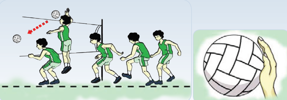 5 Teknik Dasar Permainan Bola Voli Yang Harus Dikuasai Pemain